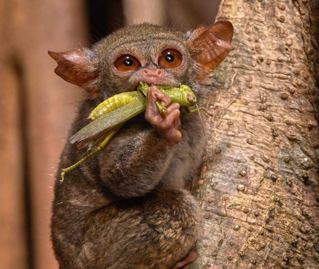 Gallery _ Quentin Martinez